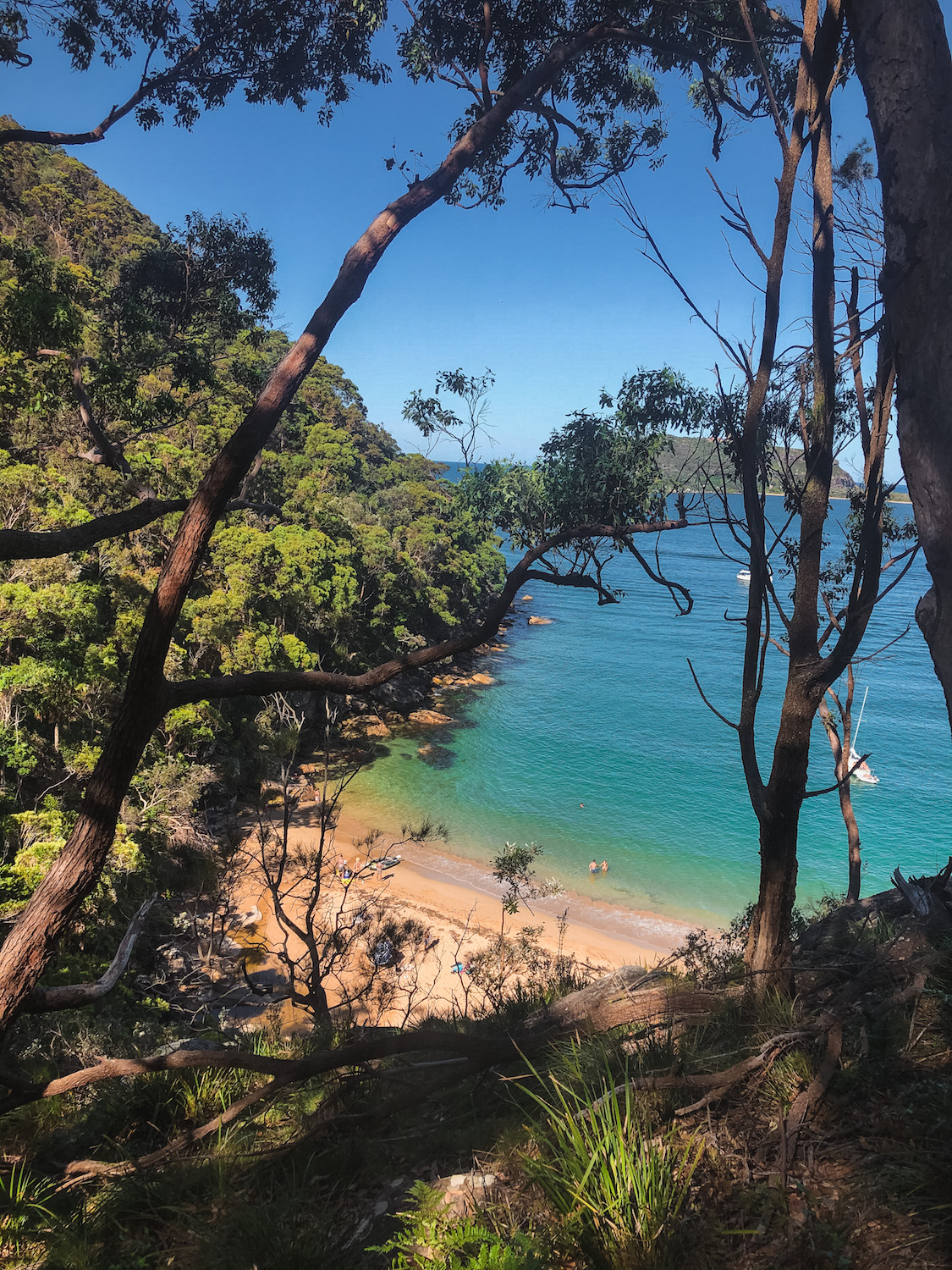 Exploring Sydney’s Hidden Beaches; The Resolute Beach Trail