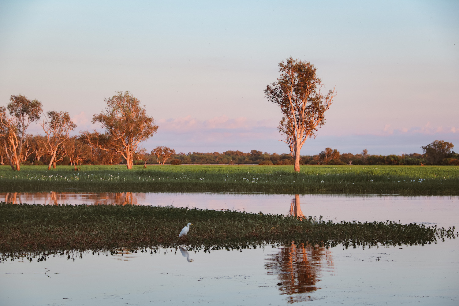 7 Days in the NTs Top End; Itinerary for first timers